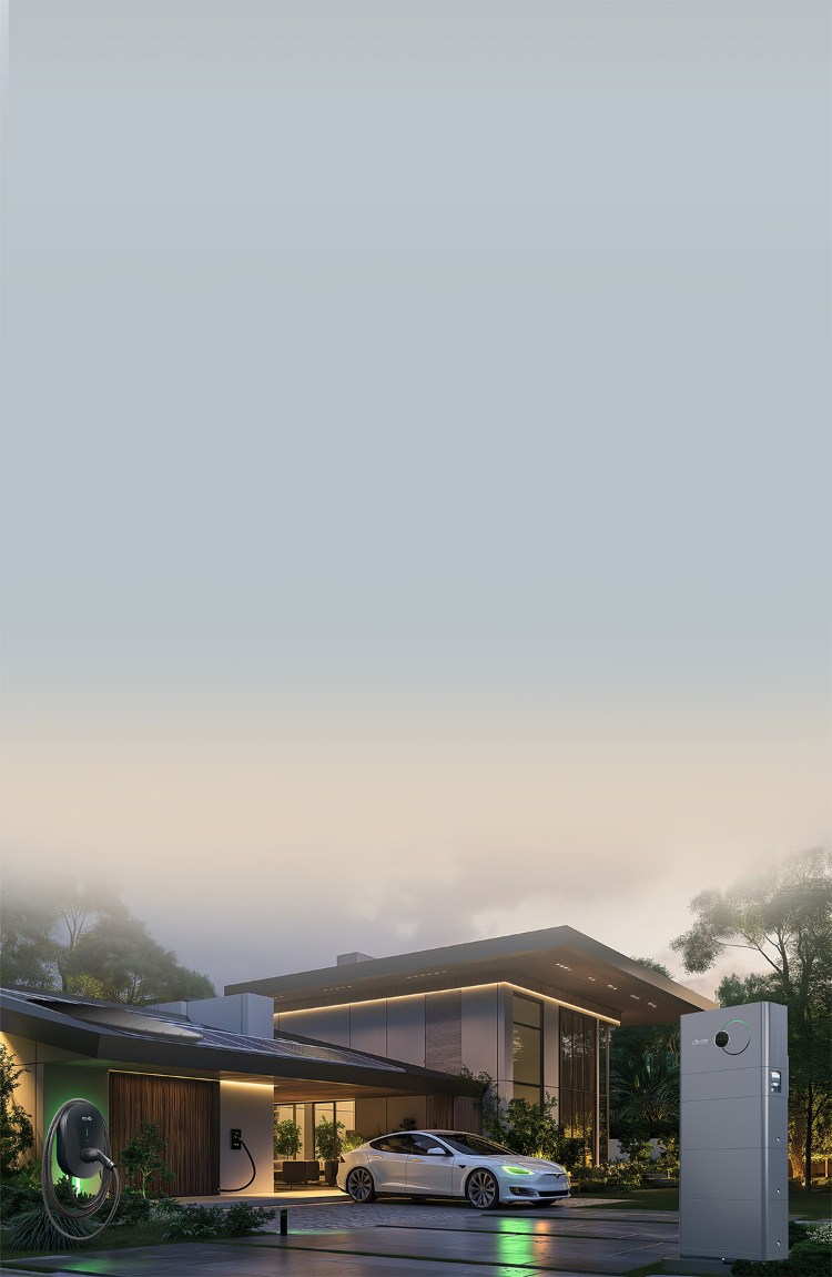 Ecoflare Official Website