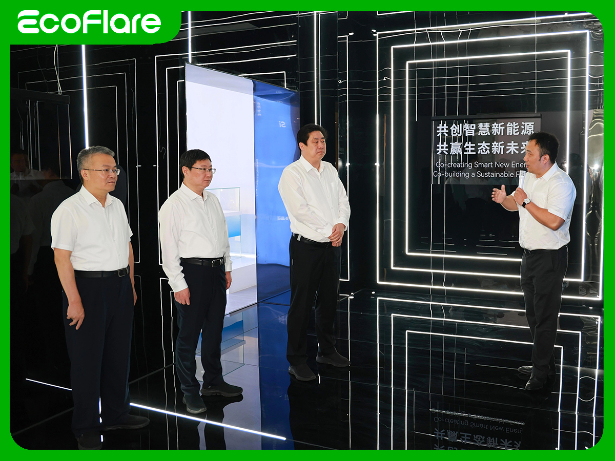 Ecoflare Official Website