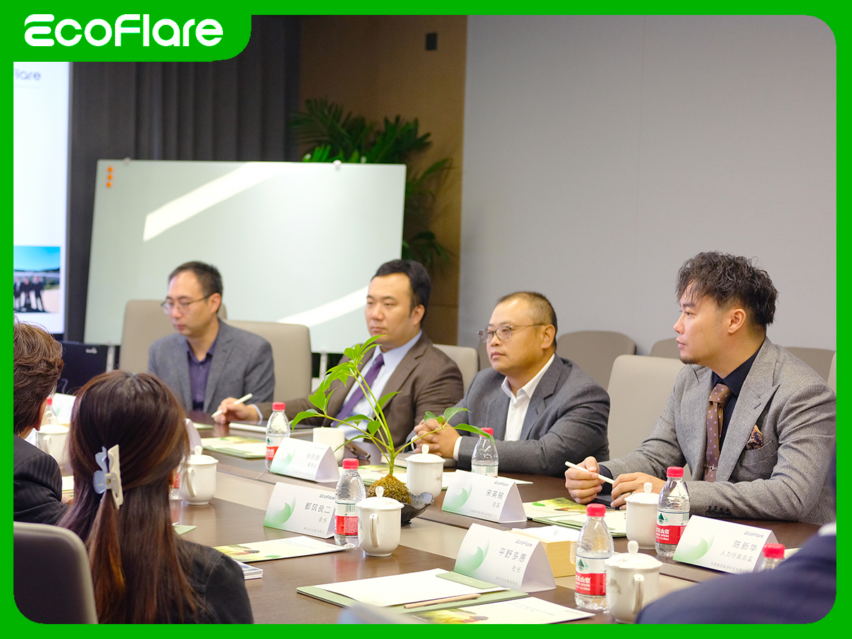 Ecoflare Official Website